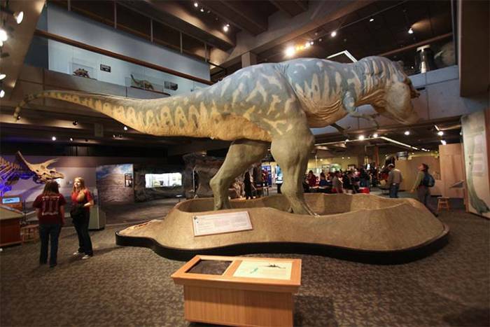 Los mejores museos de Boston - Tour Contrastes - City Travel NYC